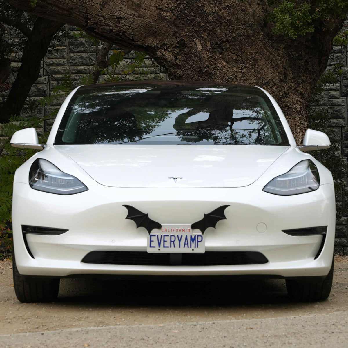 Novelty License Plate Decor and Car Cosplay Kits – EveryAmp